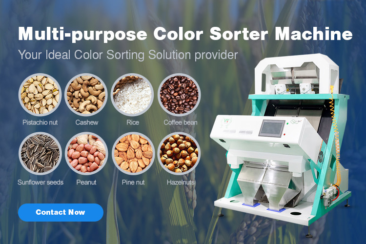 How to debug the color sorter?