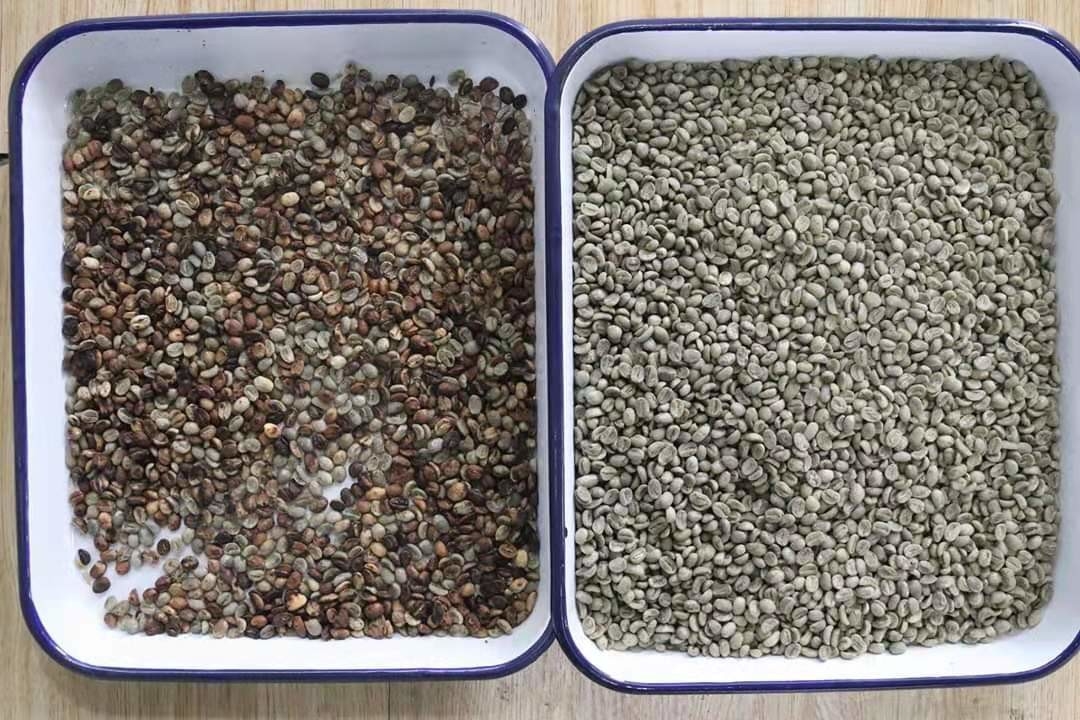 Optical RGB CCD Kidney Bean Mung Bean Sorting Machine 1 Chutes Optical RGB CCD Kidney Bean Mung Bean Sorting Machine 1 Chutes