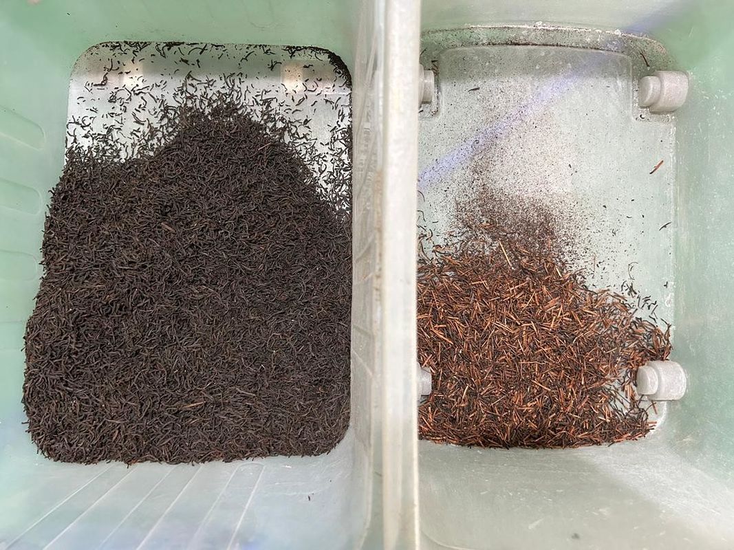 Double stage 1 Chute Tea Color Sorter Machine for Removing Leaves and ...